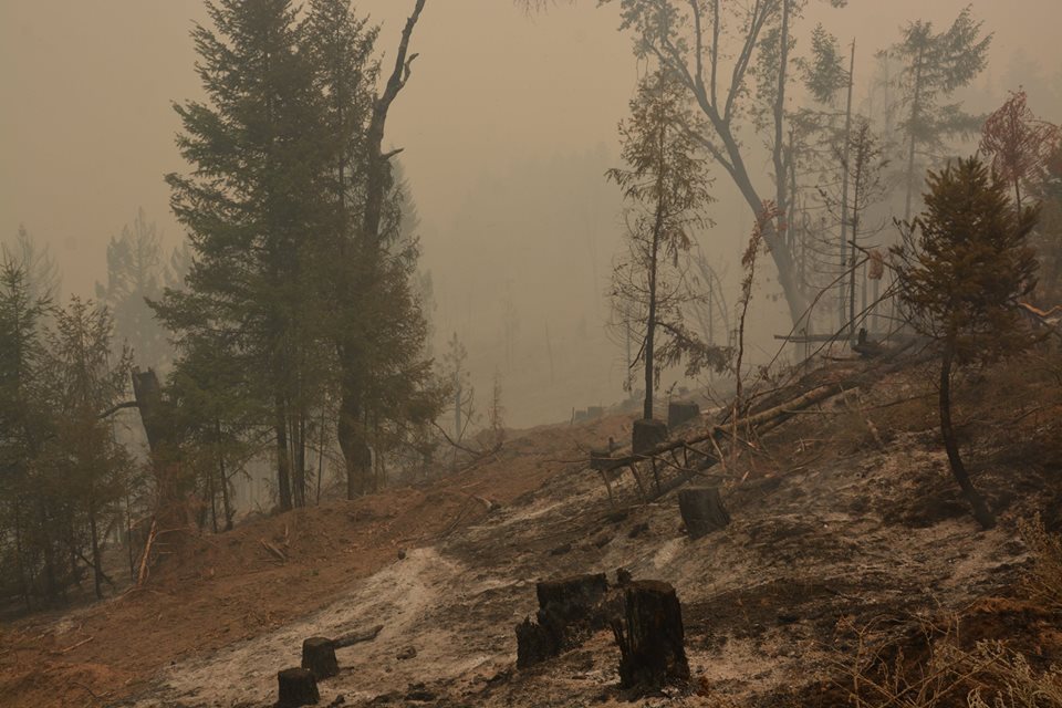 Carr Fire Update August 12 5:03 pm – anewscafe.com