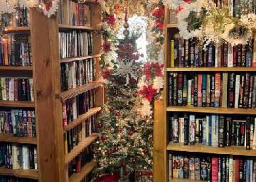 Cottonwood Community Library Hosts Winter Wonderland Fundraiser Dec. 9 ...