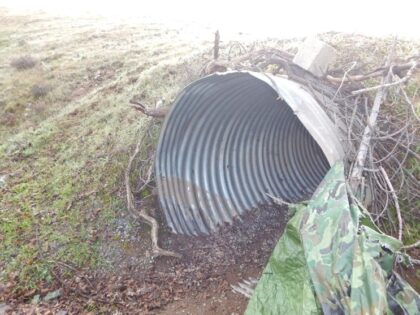 Illicit cannabis cultivation operation leads to discovery of ...