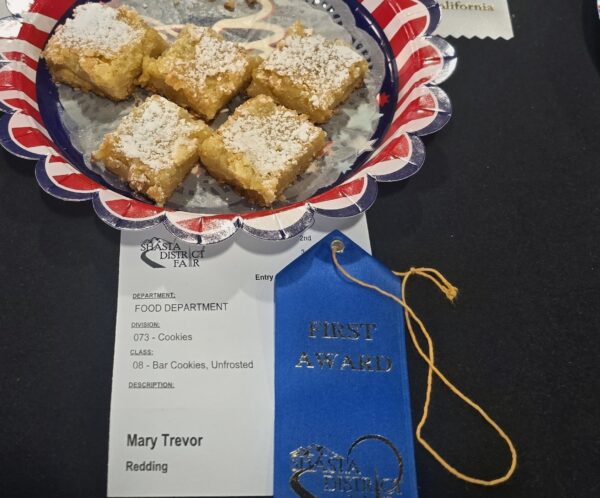 mary t unfrosted bar cookies – anewscafe.com